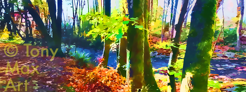 "Colored Creek – Panorama" - British Columbia paintings by artist Tony Max